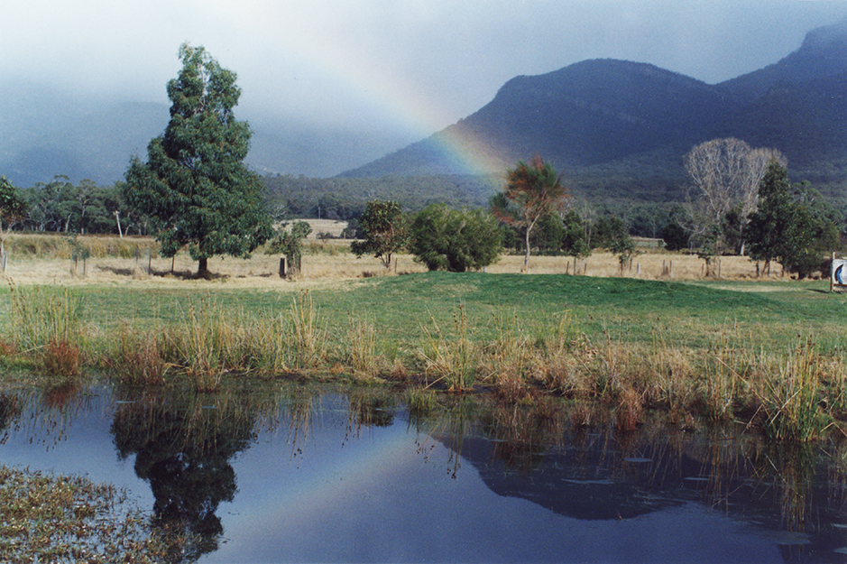 Frogs Birds and Aquatic Plants at Redman Bluff Wetlands at Grampians ...